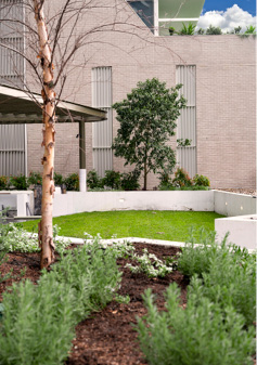 Fytogreen carried out green installations across the Green Square ...