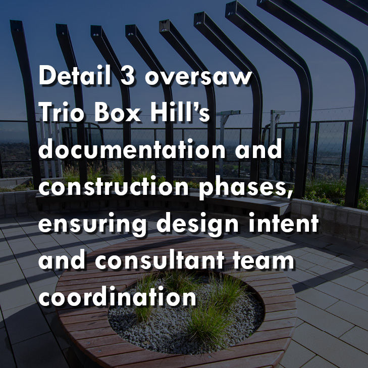 Detail 3 oversaw Trio Box Hill's documentation and construction phases ...