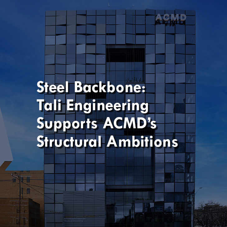 Steel Backbone: Tali Engineering Supports ACMD’s Structural Ambitions ...